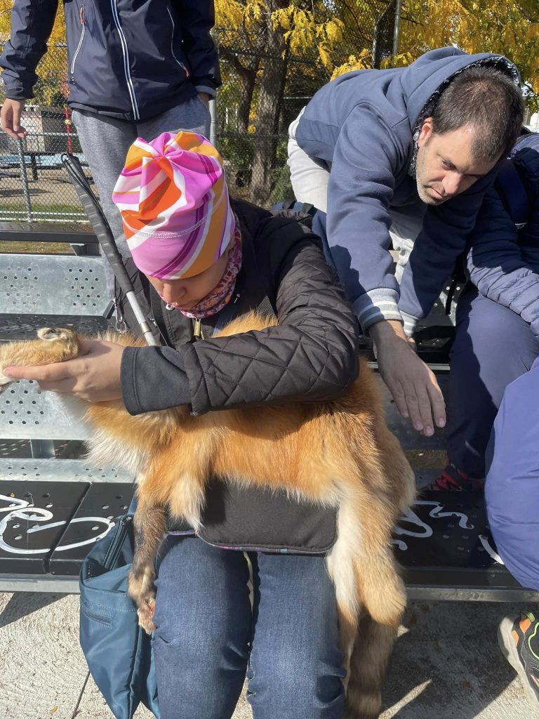 Parc Pélican – parcours aventure sur les traces des animaux de la ville ...